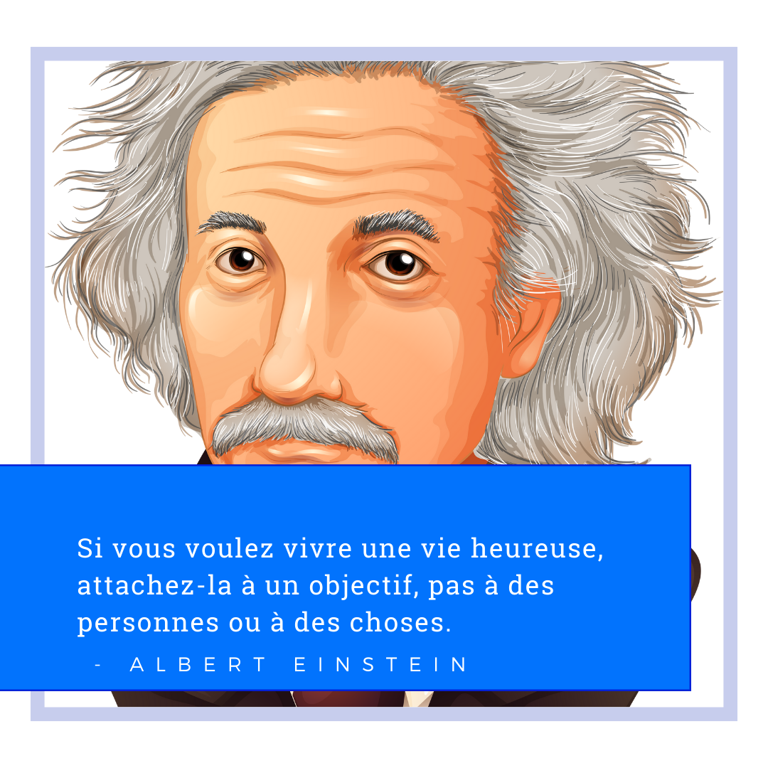 10 citations sur les objectifs - Nemosia intelligence